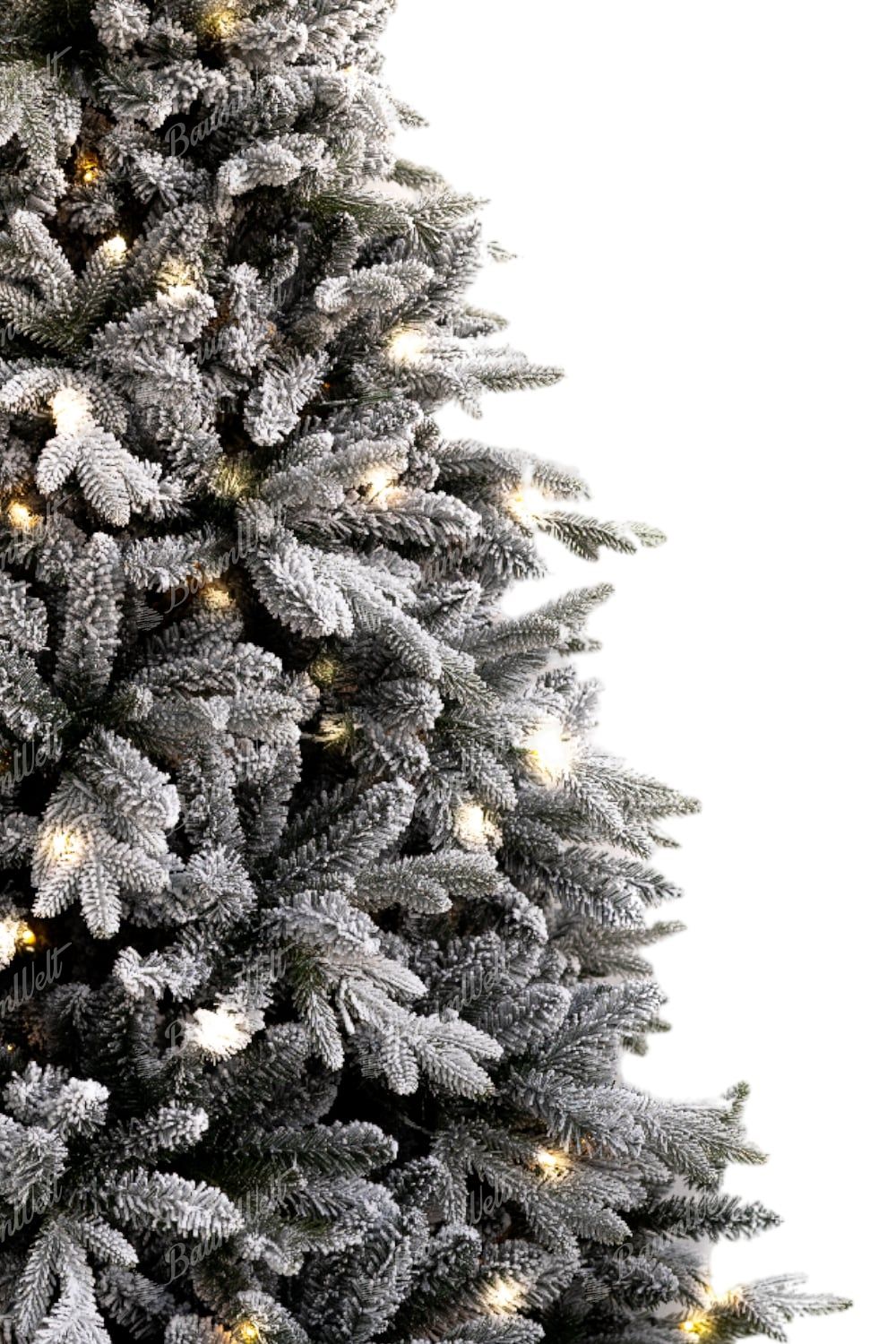Weihnachtsbäume 3D | Baumwelt